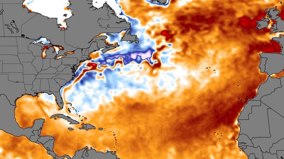 Rekordhitze in Meeren weltweit - Klimawandel und El Nino haben ... Rekordhitze in Meeren weltweit - Klimawandel und El Nino haben ...